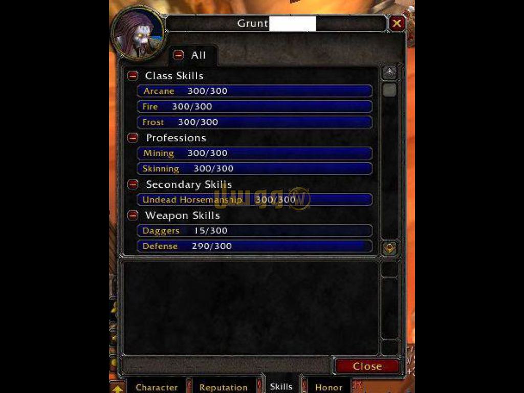 LVL 60 Undead Mage Mining 300 Skinning 300 Mount 60% Region Turkey ...